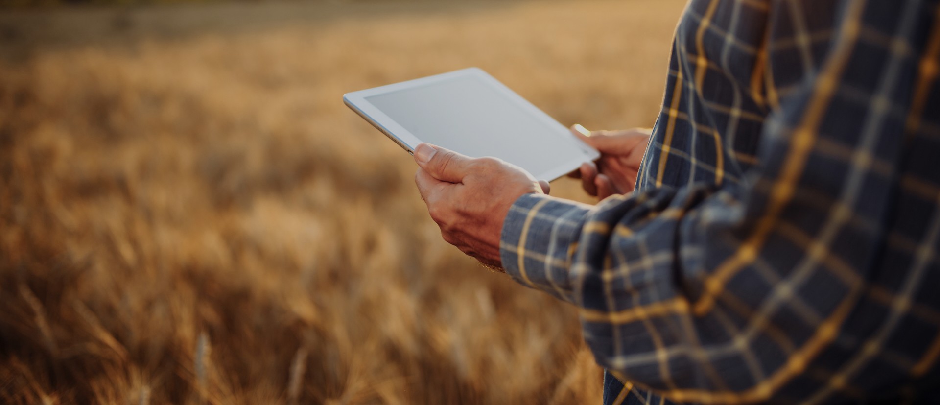 Contact us - MKOG ltd - Vital Ingredient Trading