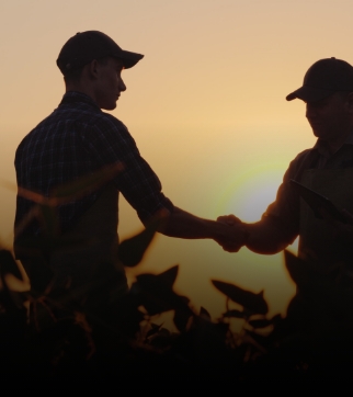 About us - MKOG ltd - Vital Ingredient Trading