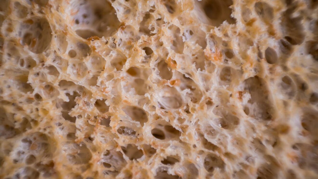 Sourdoughs - MKOG ltd - Vital Ingredient Trading