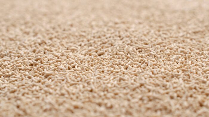 Yeast - MKOG ltd - Vital Ingredient Trading