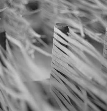 About us - MKOG ltd - Vital Ingredient Trading