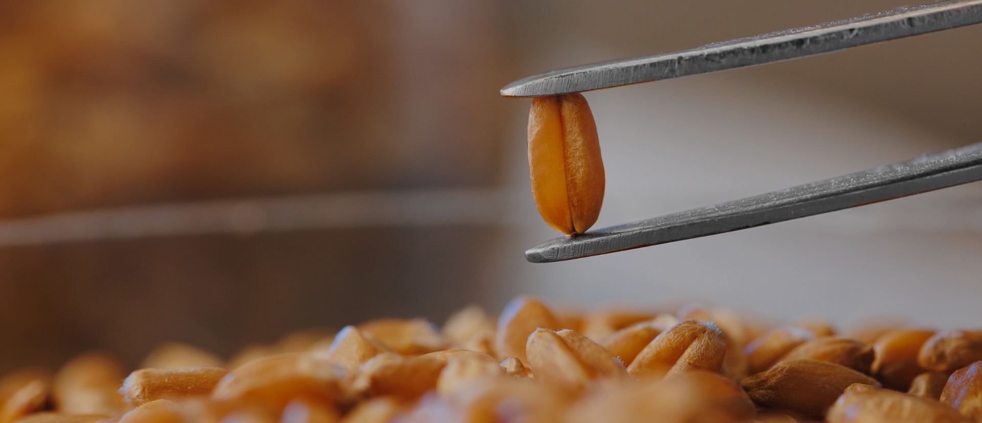 Food safety & Quality Policy Statement - MKOG ltd - Vital Ingredient ...